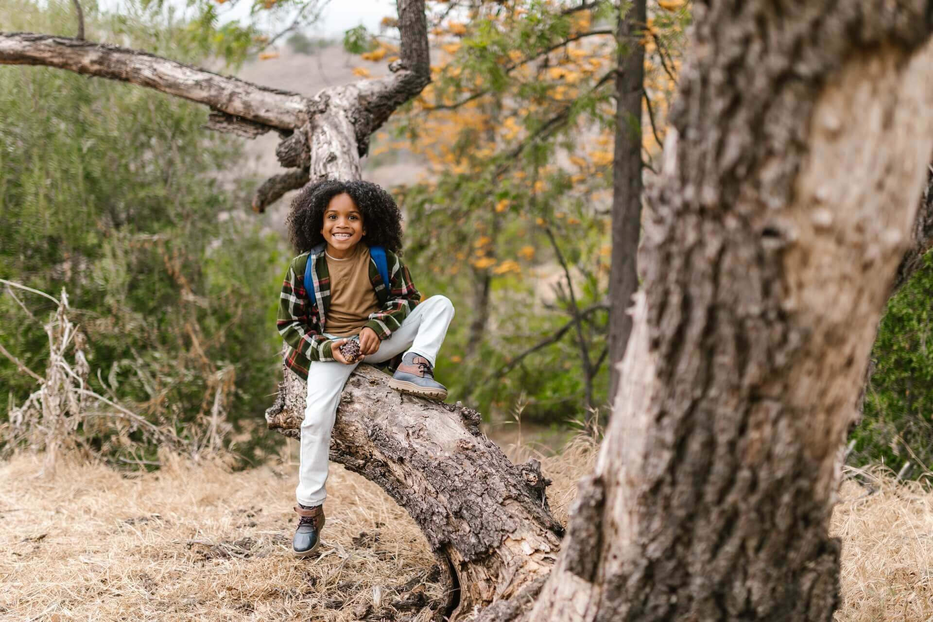Simple Forest Bathing: All You Need To Know - 4TinyHands